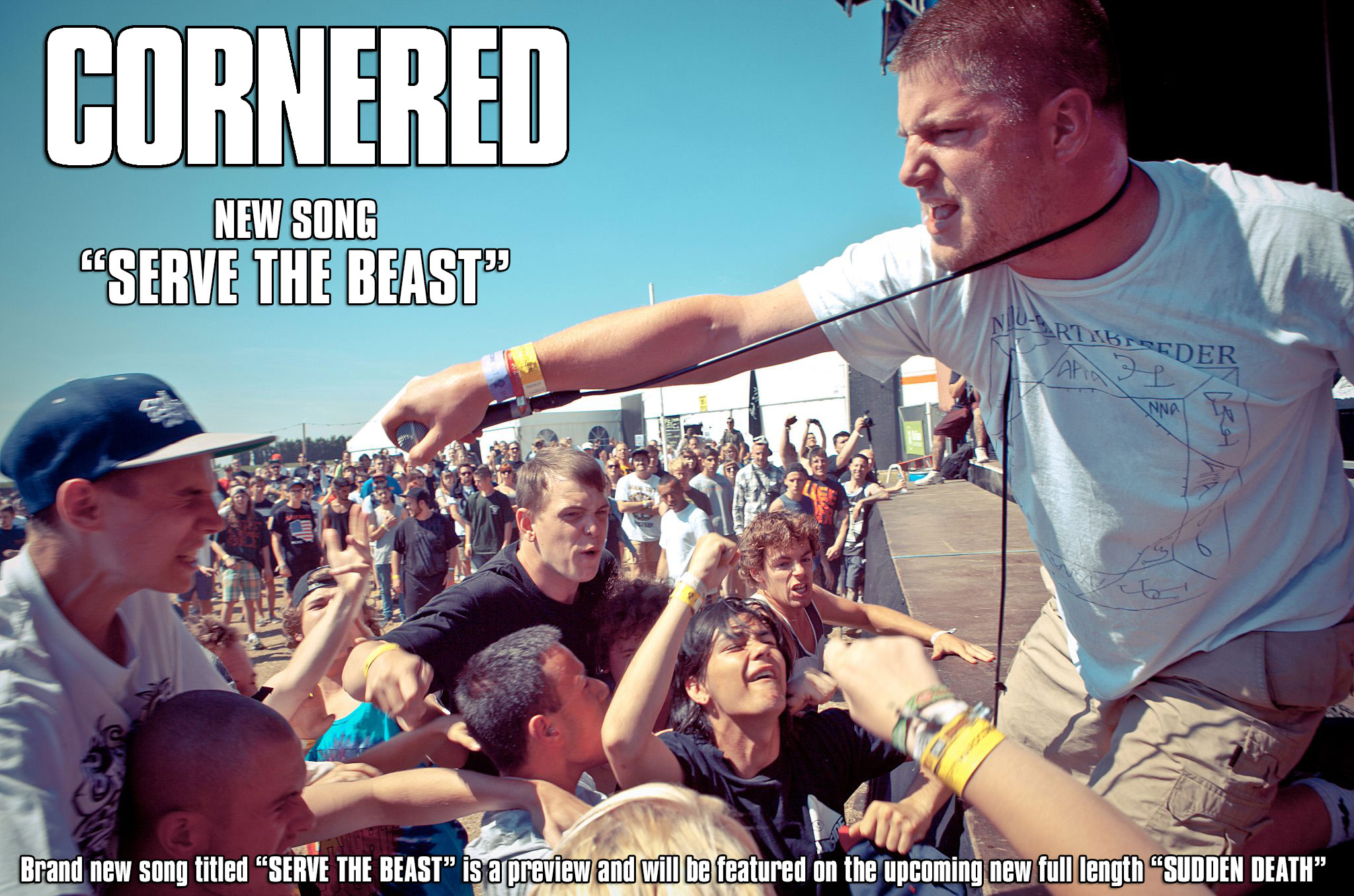 Cornered | Serve The Beast | PitKings